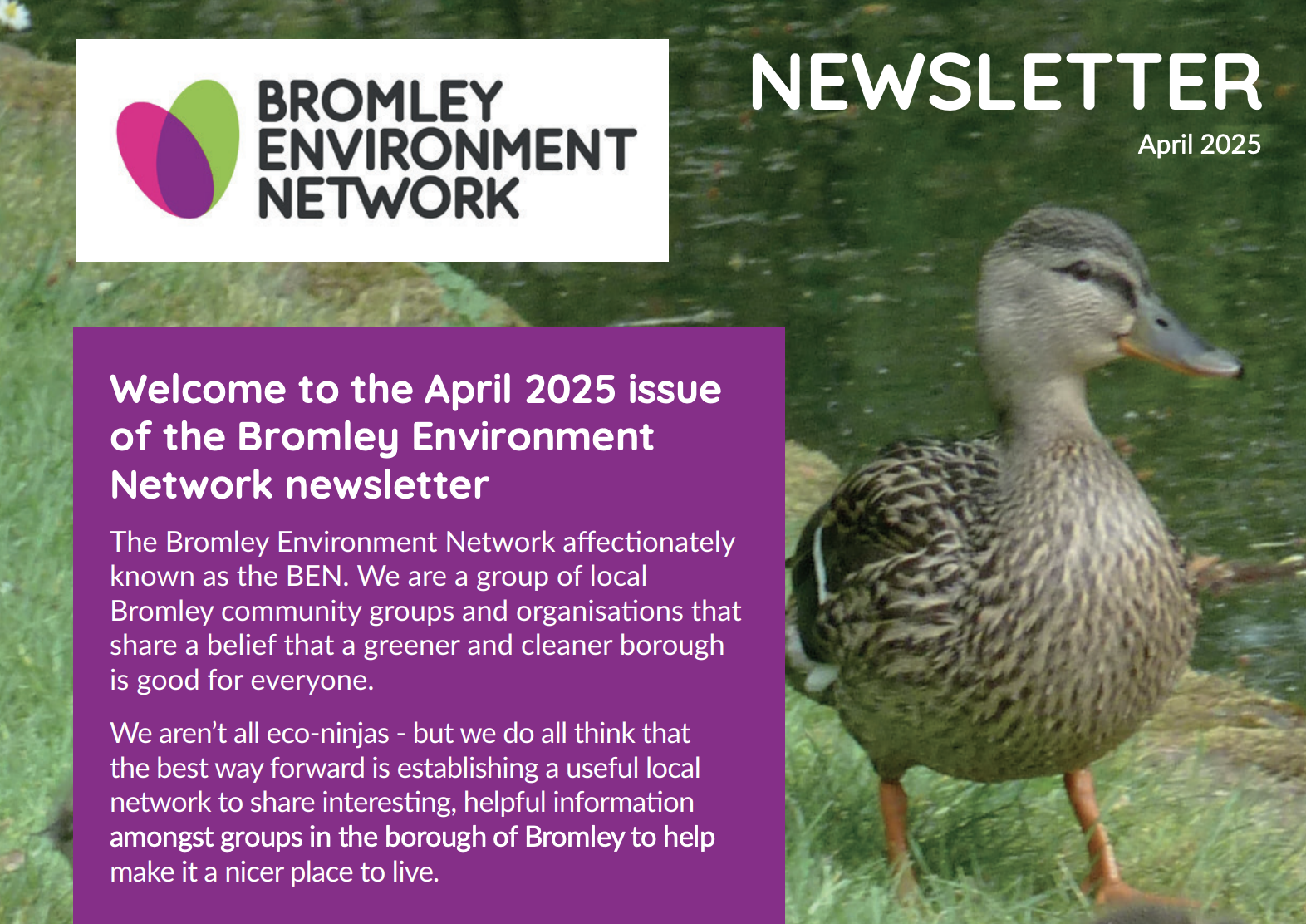 Bromley Environment Network: April 2025 Newsletter – Copers Cope Area ...